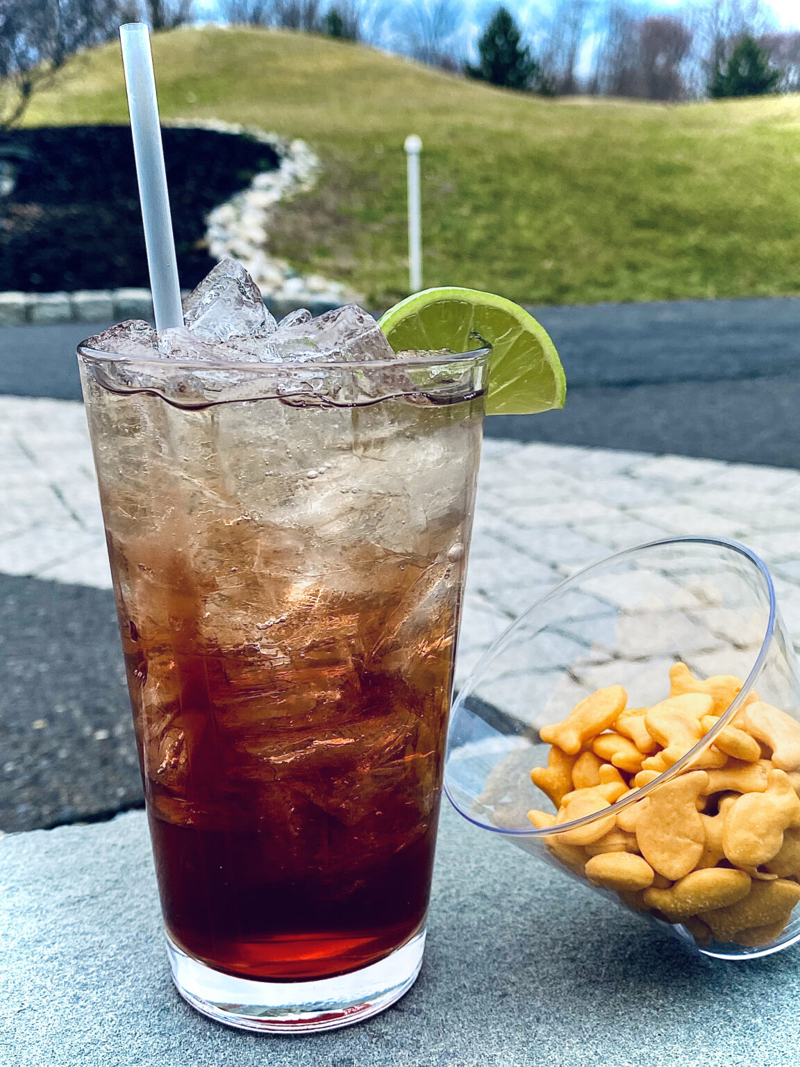 A Taste of Freedom: The History Behind the Transfusion Cocktail and Why ...